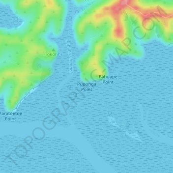 Puponga Point topographic map, elevation, terrain